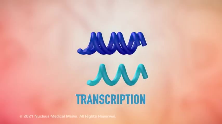 Transcripción del ADN: Proceso, Importancia y Mecanismos Clave