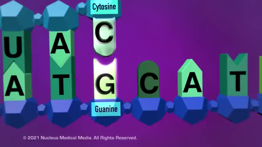 Transcripción del ADN: Proceso, Importancia y Mecanismos Clave
