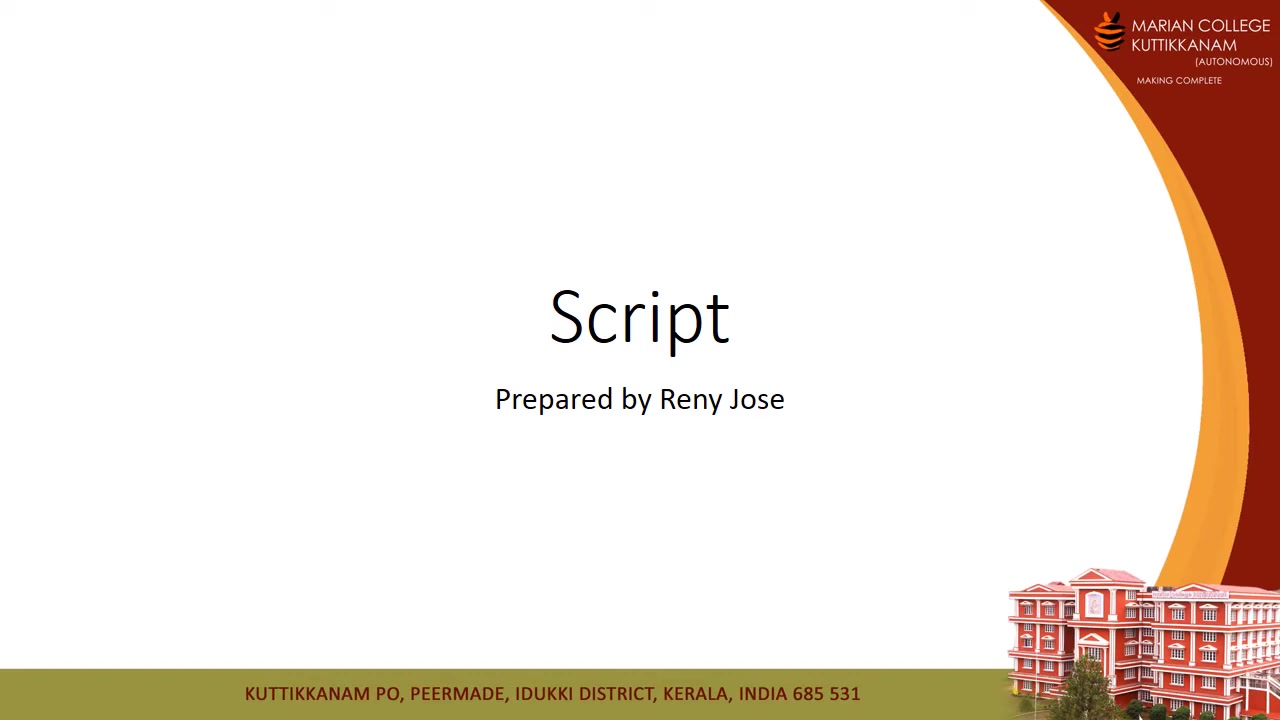 Guía completa de scripts: estructura, componentes y ejemplos prácticos