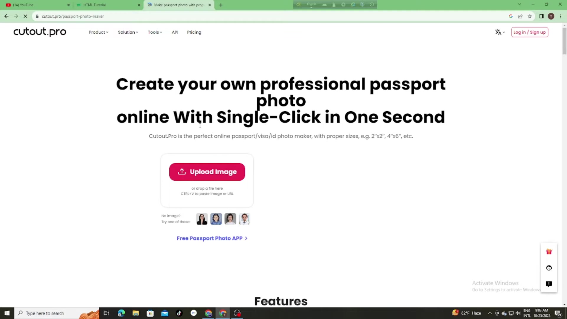 Create Professional Passport Photos Online with Cutout.pro