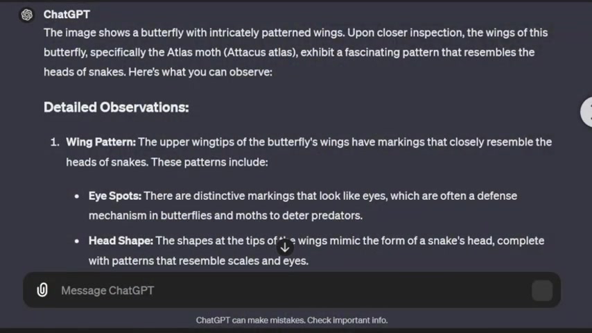 ChatGPT-4o Image Analysis: A Detailed Guide & Vision Test