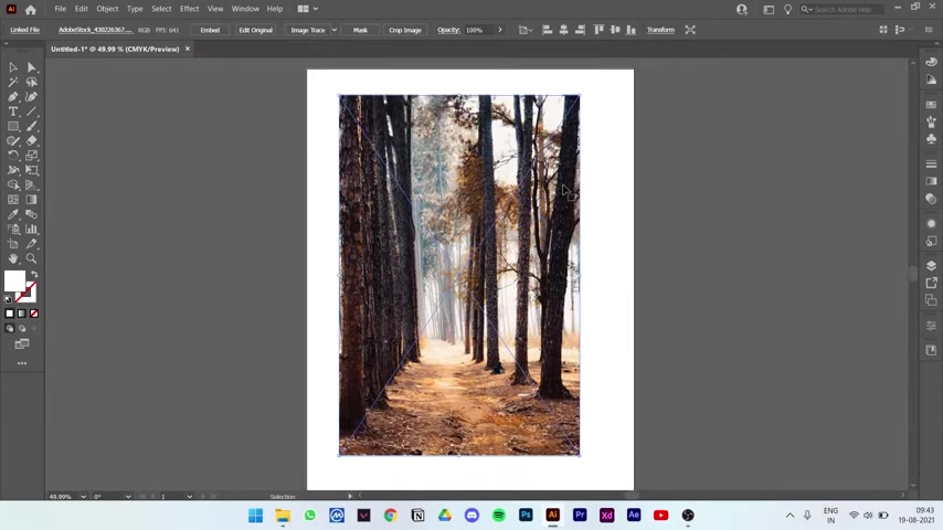 Edit Images in Adobe Illustrator with Photoshop: A Pro Guide
