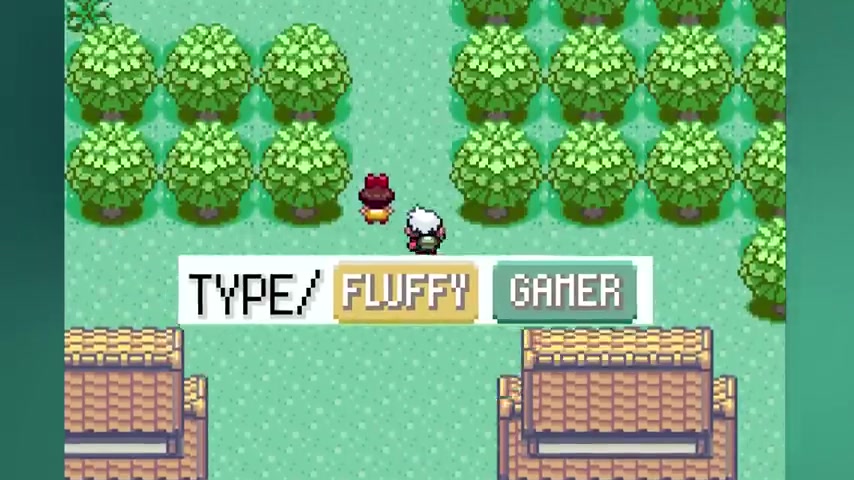 Pokémon Too Many Types: Um Guia Definitivo para Iniciantes