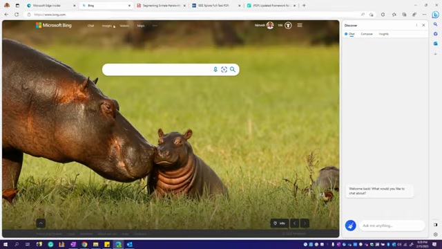 Mastering Microsoft Bing AI: A Comprehensive Guide to Enhanced Productivity