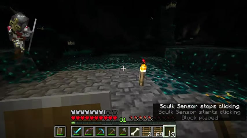 Minecraft Sculk Sensors & Warden: A Beginner's Deep Dive