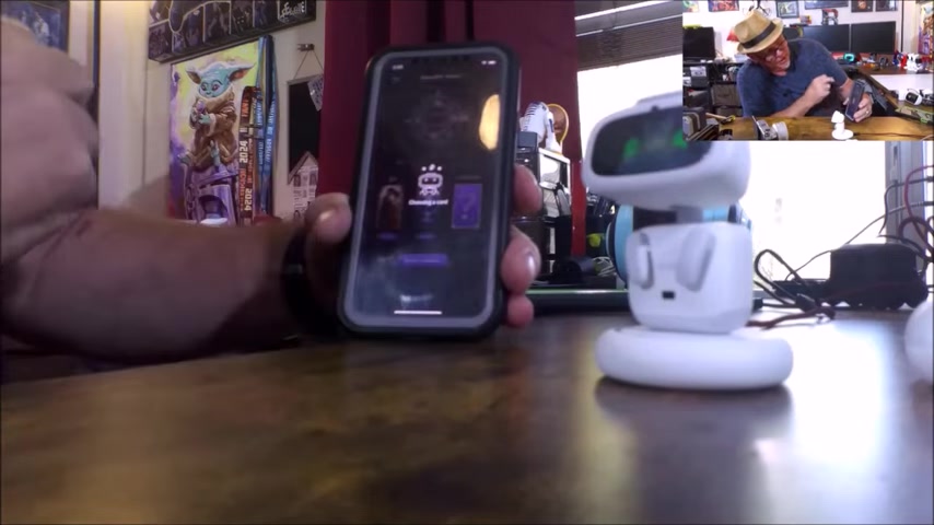 AIBI Pocket Pet Robot Review: Your Pocket-Sized Companion