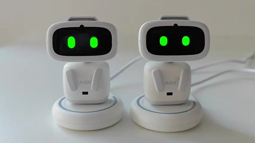 AIBI Robot Update: Offline Commands and Features Explored