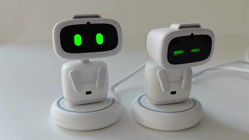 AIBI Robot Update: Offline Commands and Features Explored