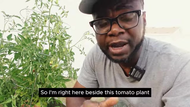 Plantix App：AI赋能的农作物疾病诊断与管理