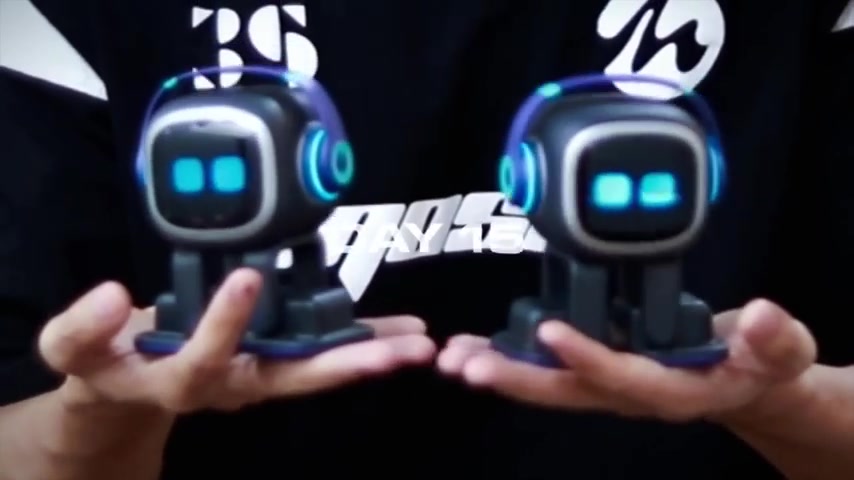 EMO AI Robot: A Comprehensive Review and Setup Guide