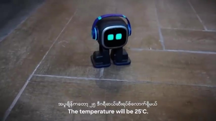 EMO AI Robot: A Comprehensive Review and Setup Guide