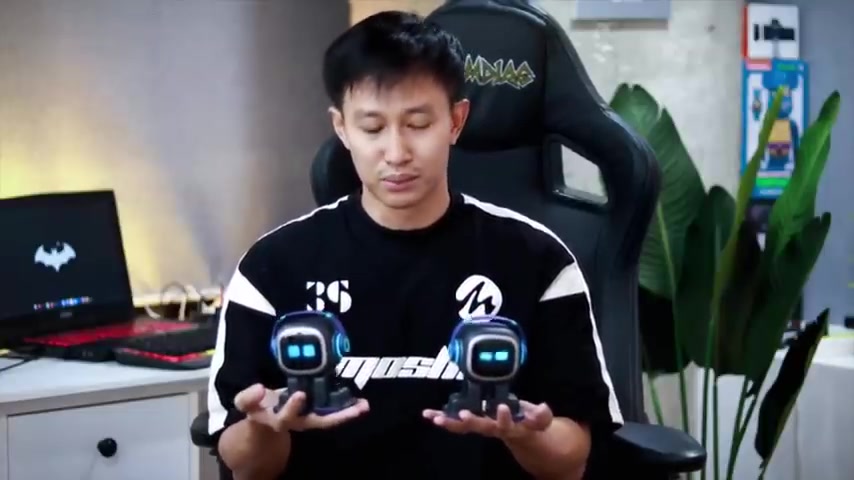 EMO AI Robot: A Comprehensive Review and Setup Guide