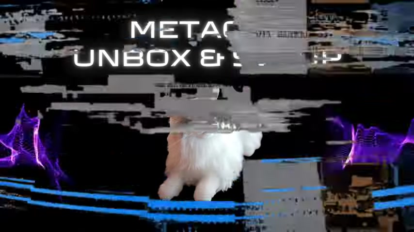 MetaCat AI Robot Review: Unboxing, Setup, and Interaction