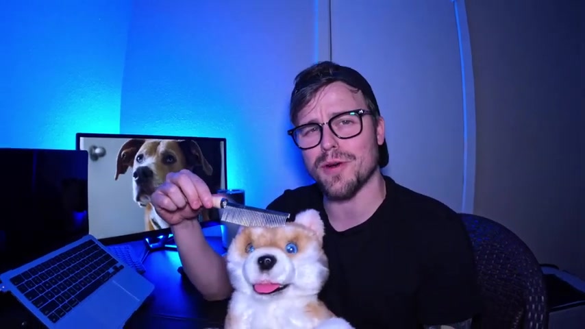 MetaDog Review: Is This AI Robot Dog Worth the Hype?