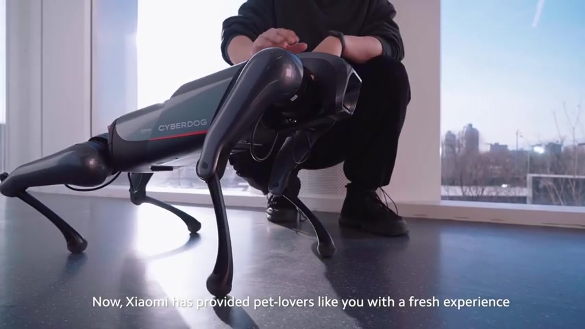 2025年智能宠物终极指南：Loona, Aibo等最佳选择