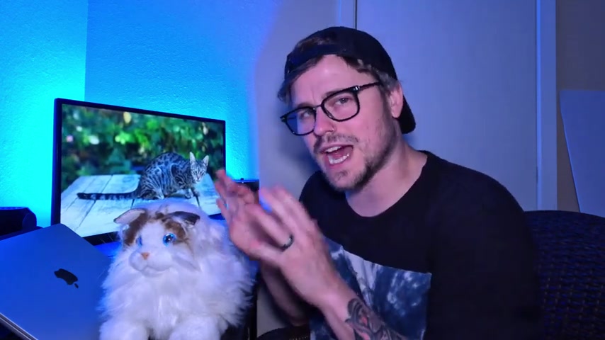 MetaCat AI Robot Review: Unboxing, Setup, and Interaction