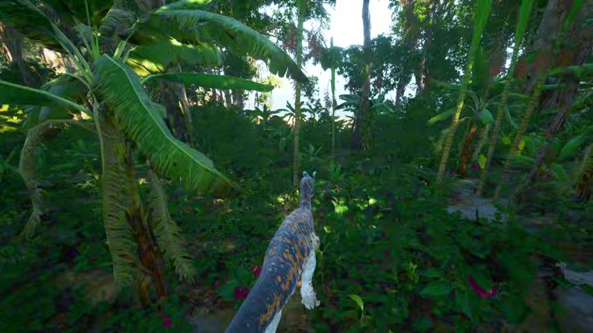 The Isle Evrima: Mastering Compass Icons & Navigation