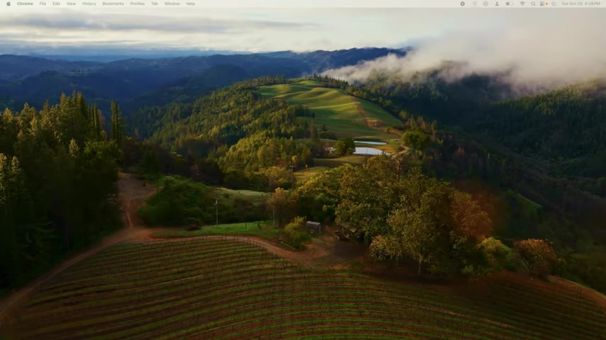 Offline AI Image Recognition Using Python and Ollama