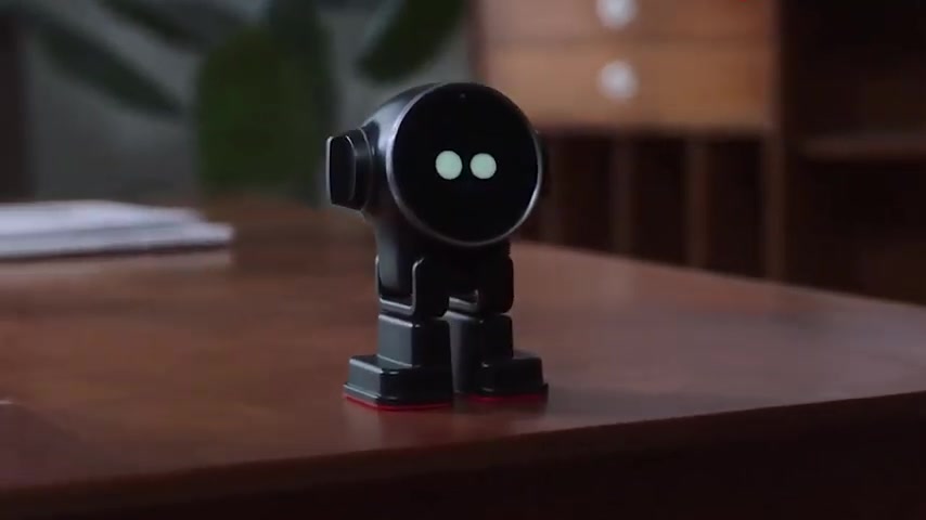 Top 11 Personal Robots of 2025: Prices & Features
