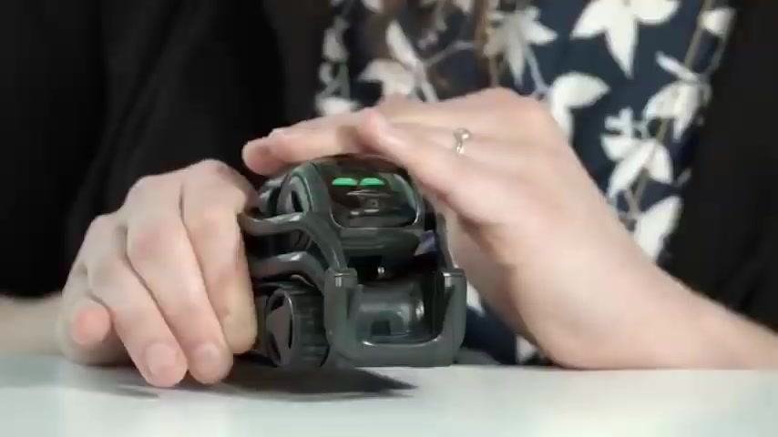 Top 11 Personal Robots of 2025: Prices & Features