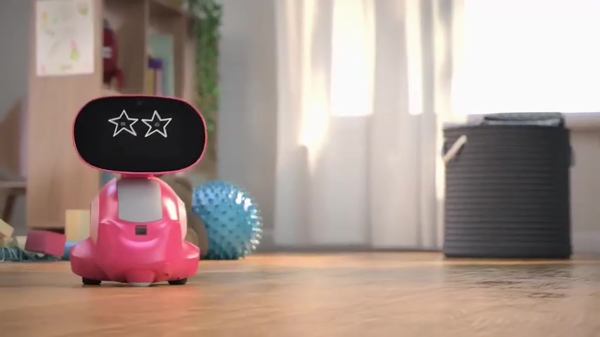 Top 11 Personal Robots of 2025: Prices & Features