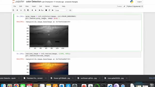 AI-Powered Image Color Detection: A Comprehensive Guide