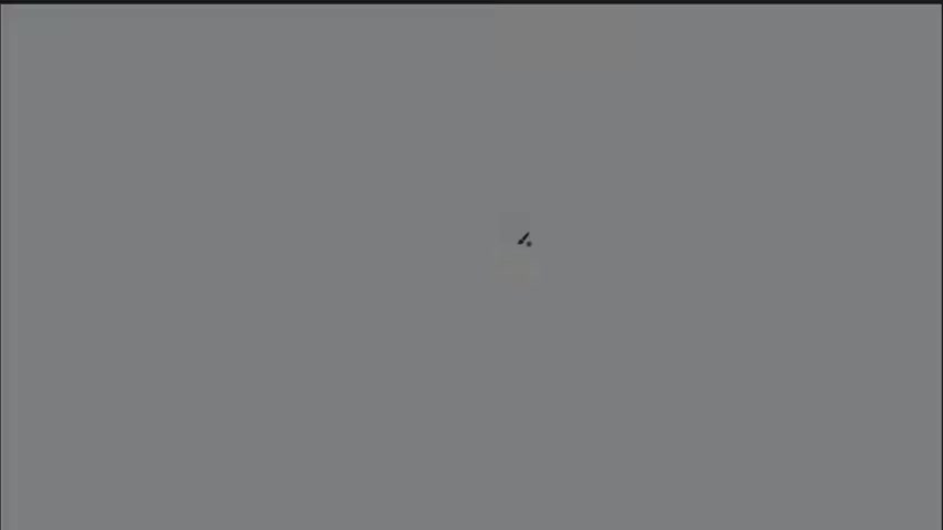 Mirror Drawing in Adobe Illustrator: Quick Symmetry Tips