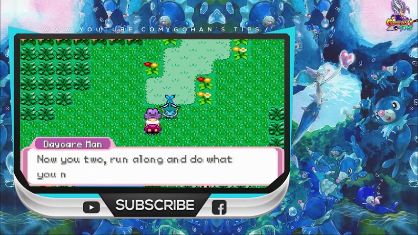 Pokemon Transform: A Unique ROM Hack Adventure for Ditto Fans